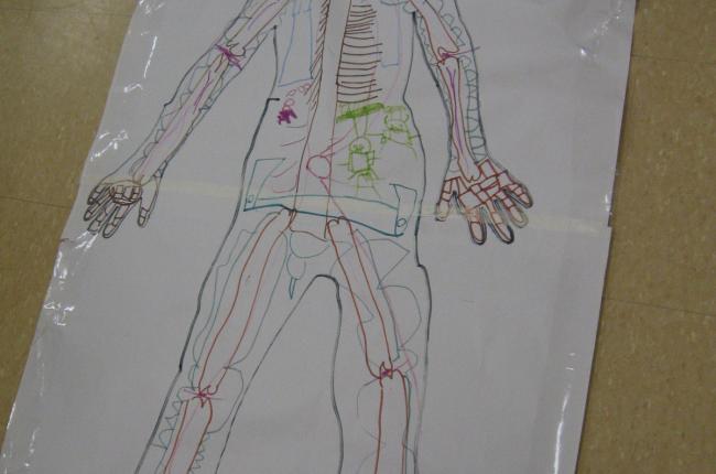 The Human Body Project – Sue Stacey